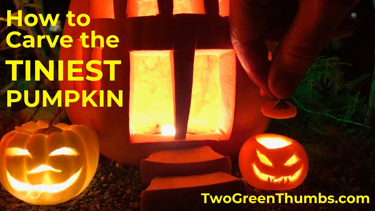 Halloween Decor: How to Carve the Smallest Pumpkin! Perfect for ...