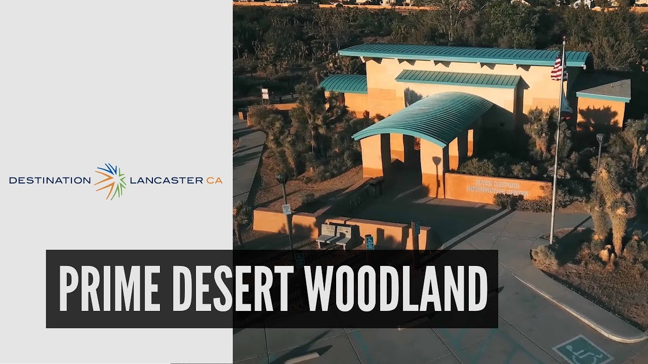 Prime Desert Woodland Preserve | Destination Lancaster - YouTube