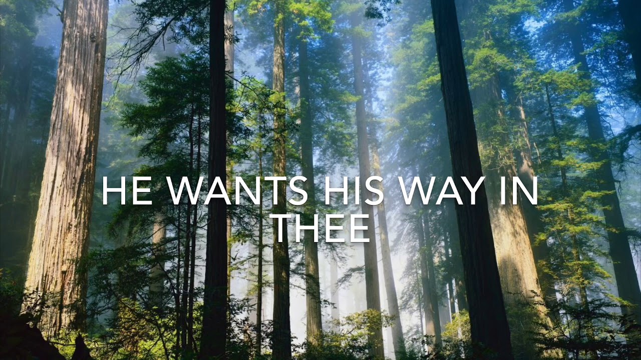 Hymn: He Wants His Way In Thee (Piano) - YouTube
