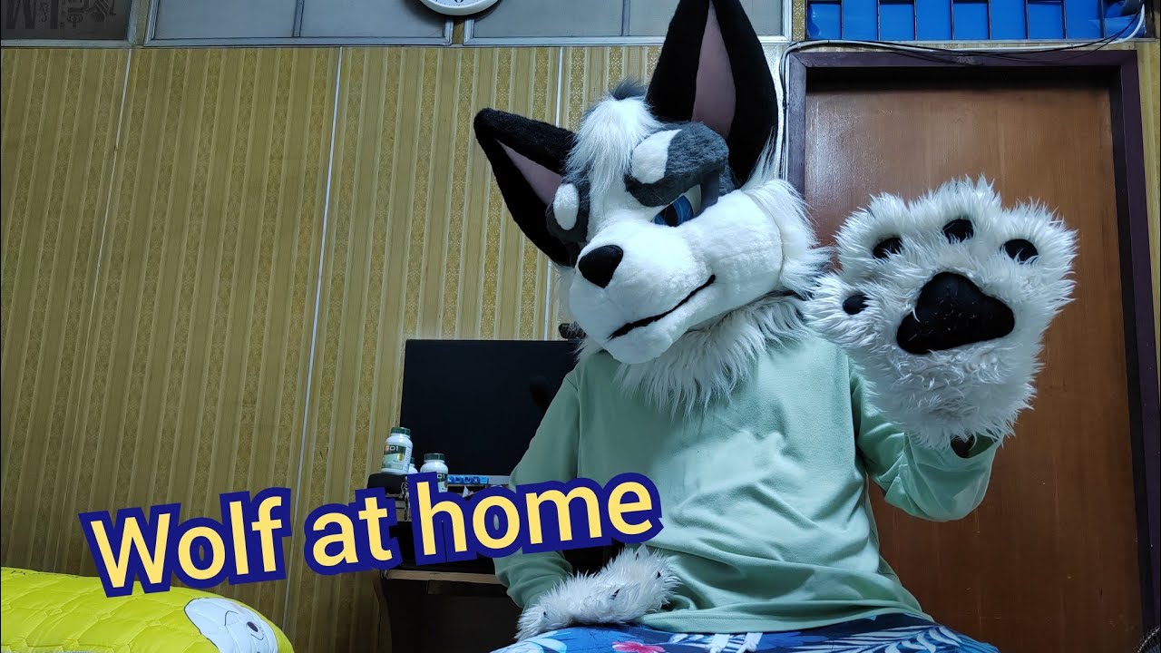 Wolf at home. - YouTube