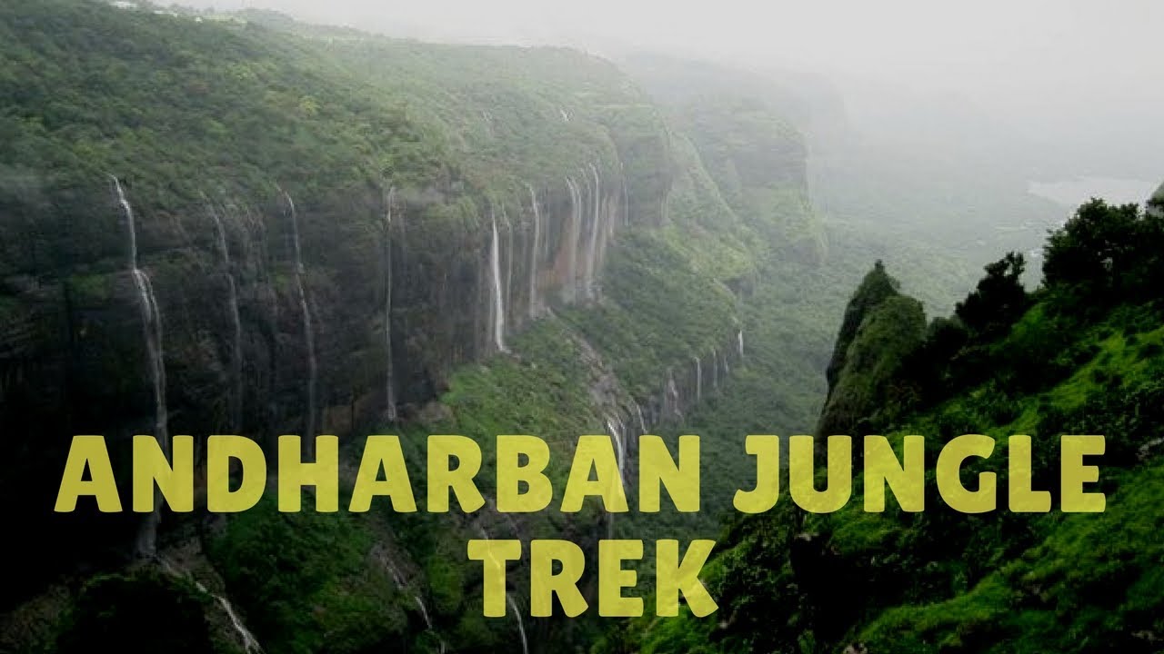 Andharban Jungle Trek in Tamhini Ghat - Adventures365.in - YouTube