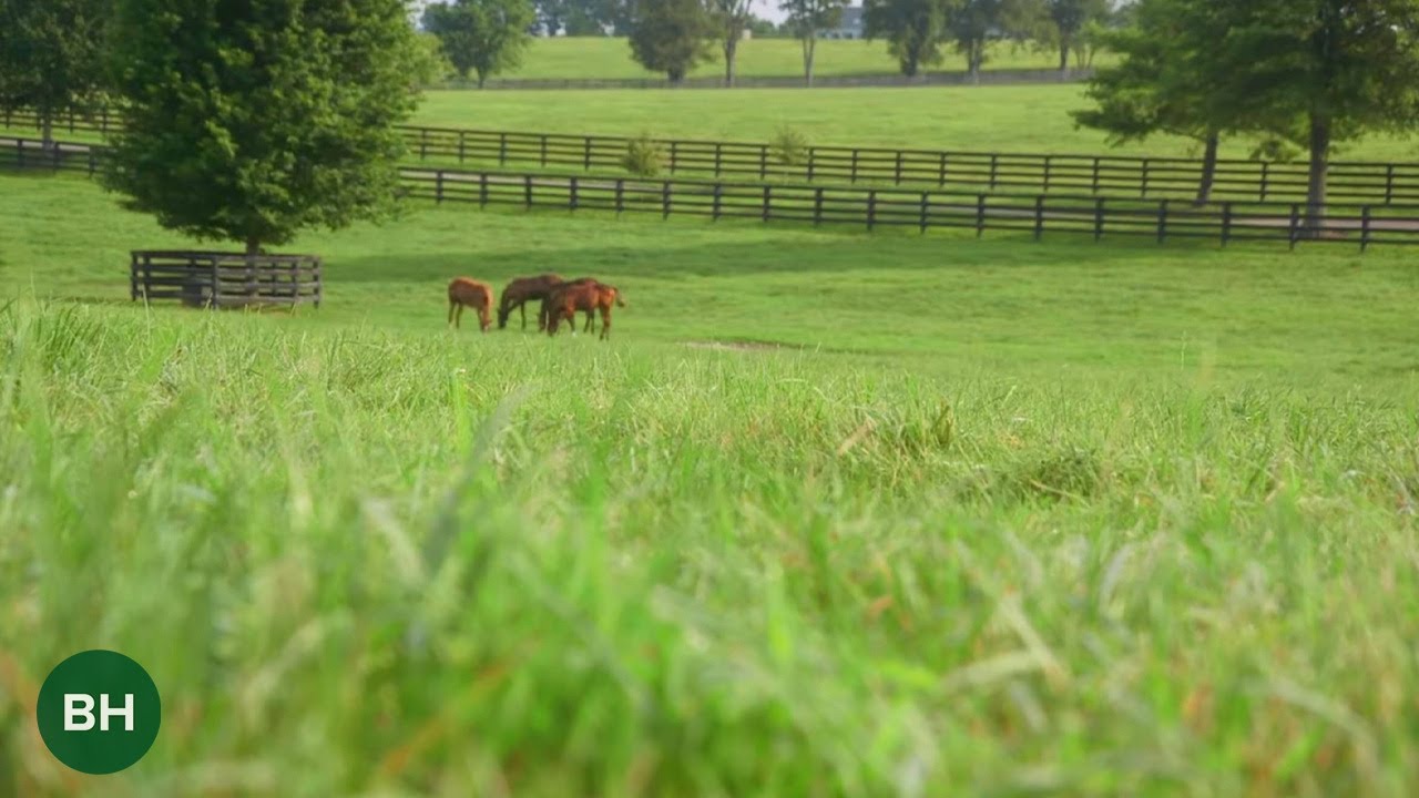 Legends of the Land: Claiborne Farm - YouTube