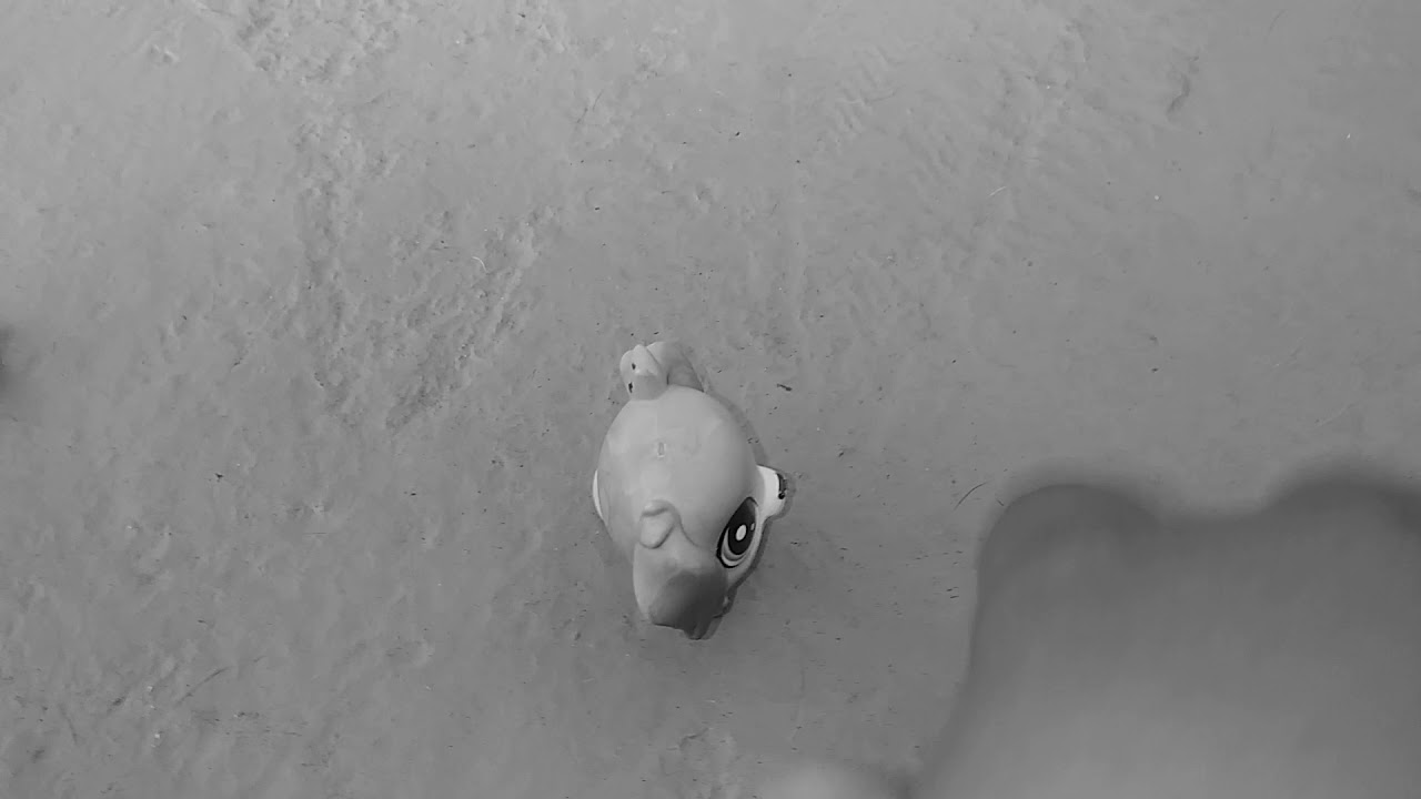 Abusive wolf father and magic daughter part 1 - YouTube