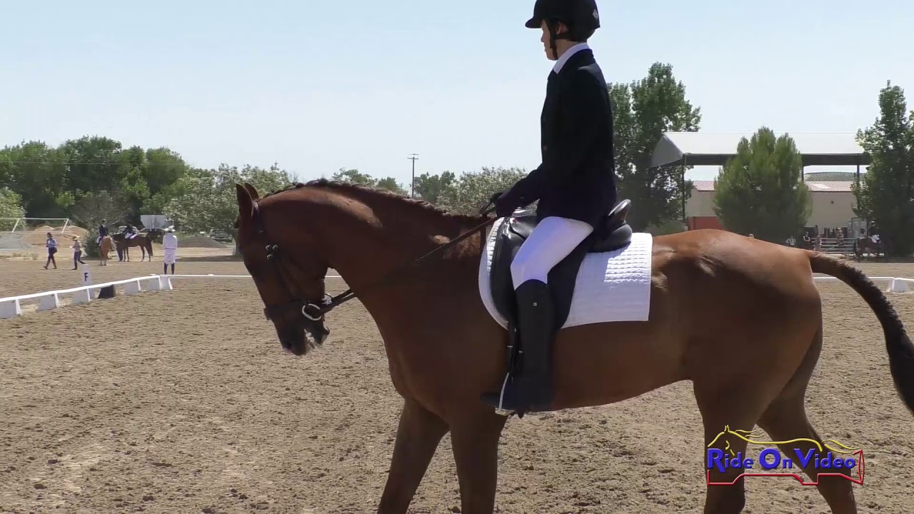 158D Benjamin Heckman on Rouge Et Blanc DF JR Beg. Novice Dressage Twin ...