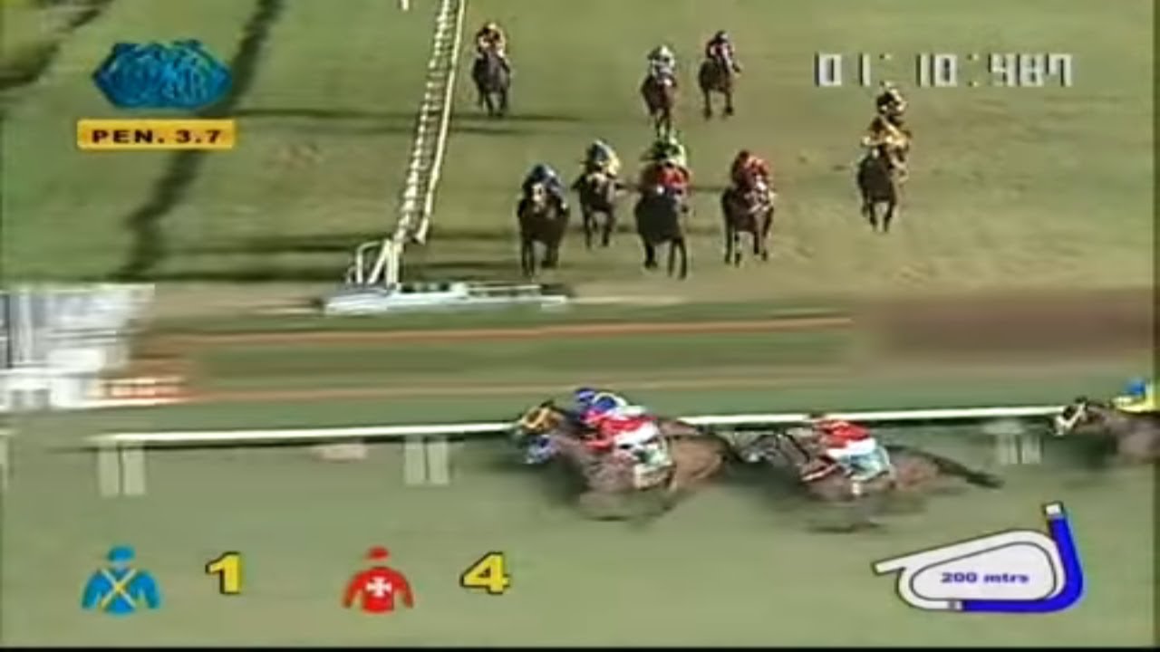 El Comandante with A Sandesh up wins The Behram A Engineer Trophy 2019 ...