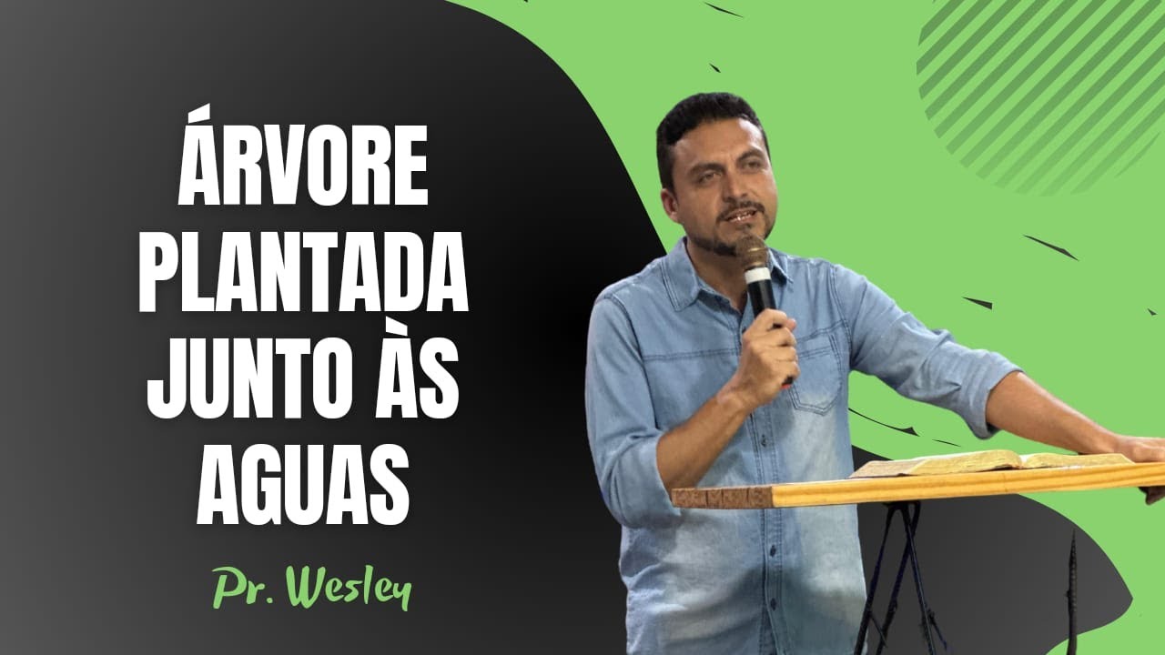 Arvore plantada junto às águas. - YouTube