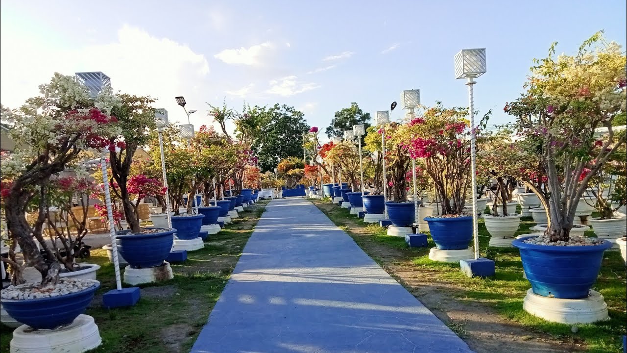 Family bonding @ Meraki Garden (Reina Mercedes,Isabela) - YouTube