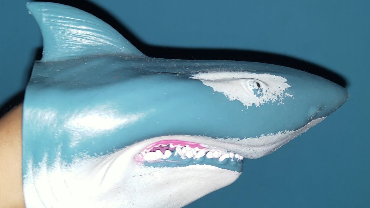 Patrick watch shark puppet - YouTube