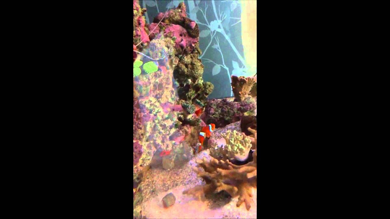 Part 1: Tom's Red Sea Max C250: Intro and tour of my equipment - YouTube