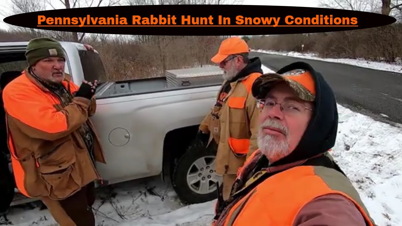 Snowy Pennsylvania Rabbit Hunt With Beagles - YouTube