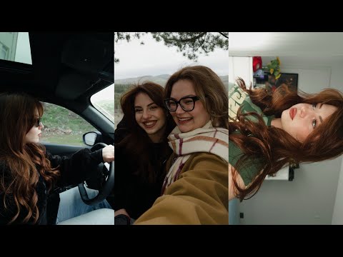 yeni ev gezdirmece ve düzenli hayata alışma süreci