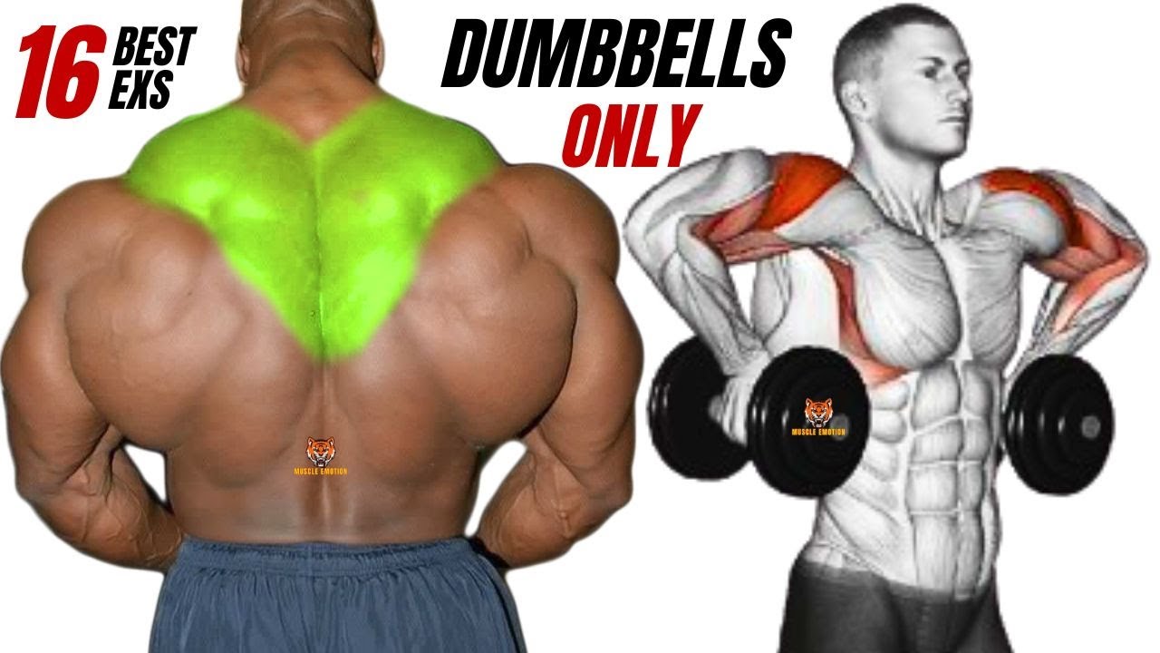 TRAPS WORKOUT- top 15 traps workout with dumbbells ONLY AT HOME OR AT ...
