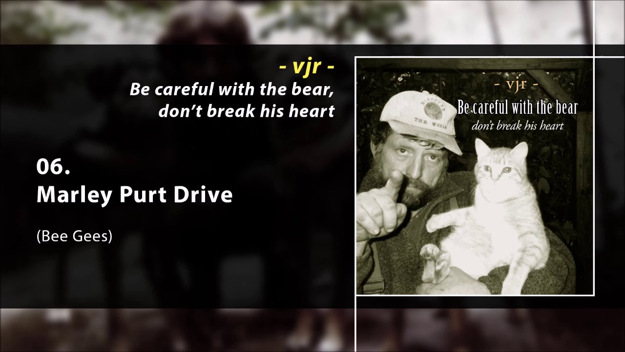 vjr (Veli Johannes Rinne) - Marley purt drive (Bee Jees cover) - YouTube