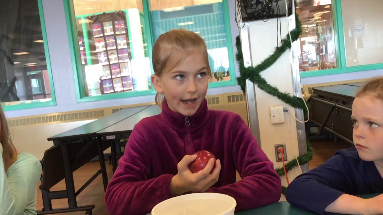 3rd Grade Compost Project2 - YouTube
