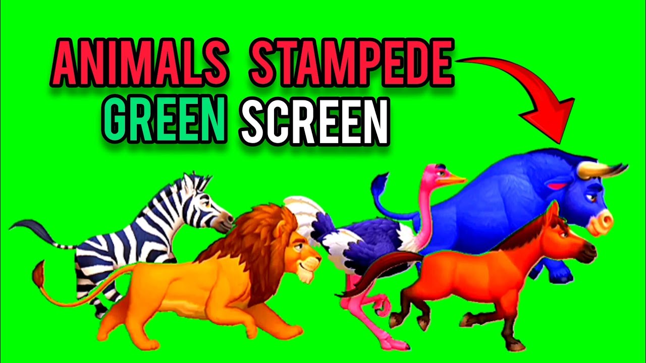 Green Screen Running Animals | Animal stampede #greenscreenanimal # ...
