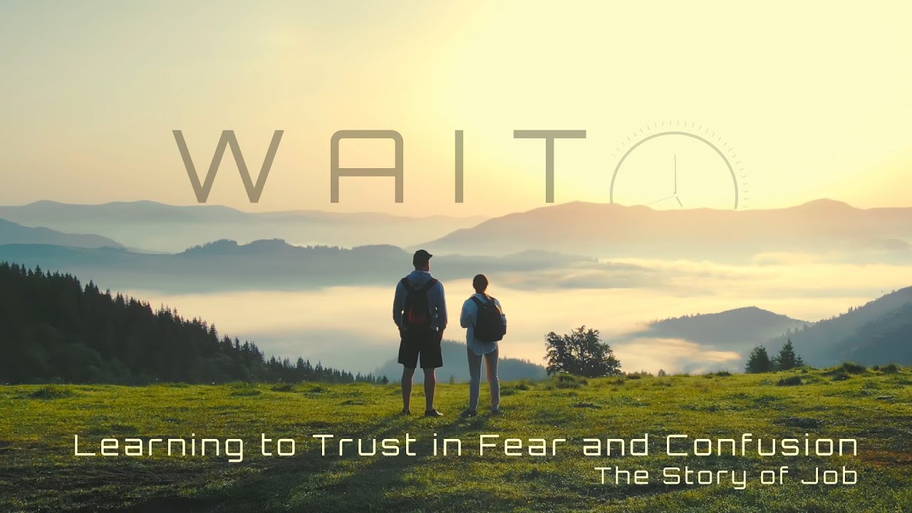 Learning To Trust in Fear and Confusion - YouTube