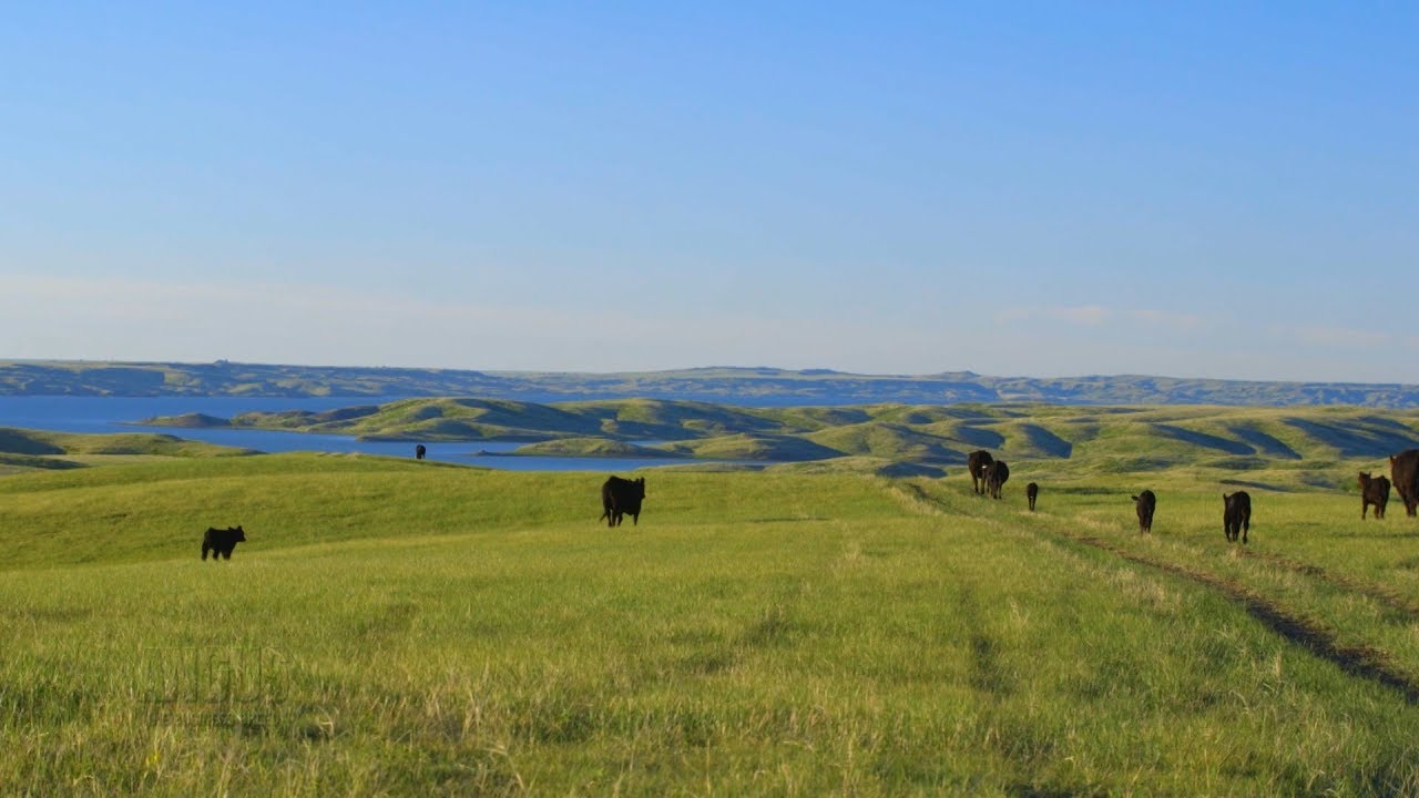 The Angus Report, April 30, 2018: Full Episode - YouTube