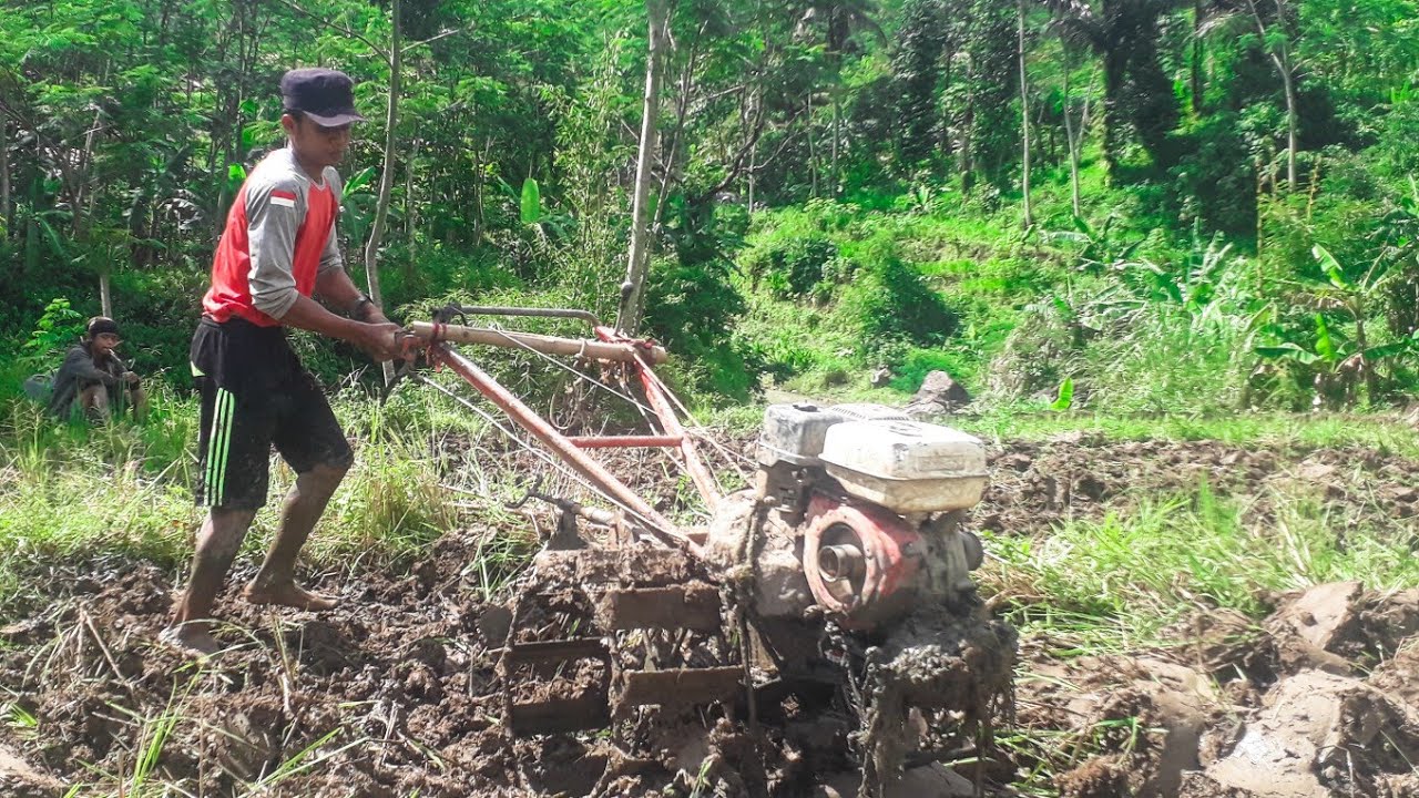 Traktor Quick Capung Metal! Traktor Sawah Mini Bekerja Dilahan Yang ...