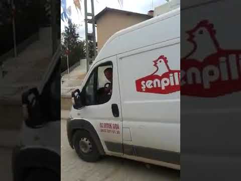 Hazrolu hasandan kopmalık küfür