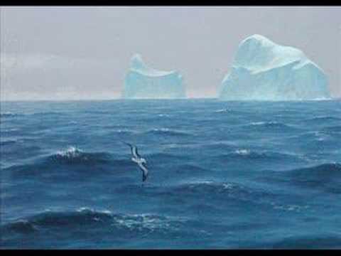 The Steelers - Albatrossi - YouTube