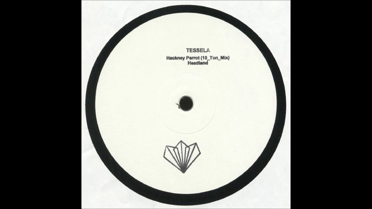 Tessela - Hackney Parrot (10_Ton_Mix) (33rpm) - YouTube Music