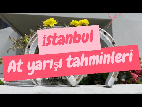 26 Ekim 2025 Pazar İstanbul at yarışı tahminleri , Altılı ganyan da Çaldıran koşusu
