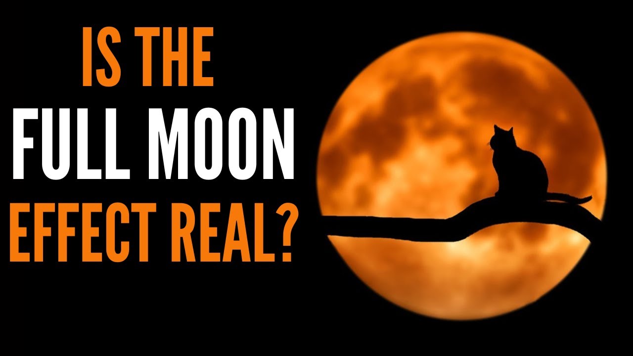 Does the Full Moon Affect Human Behavior? - YouTube