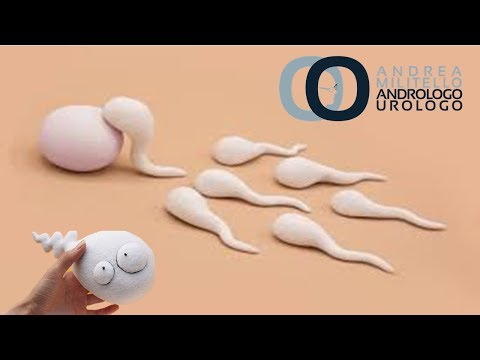 Sperma grumoso, sperma giallo. Alterazioni del liquido seminale. Quali le cause ?