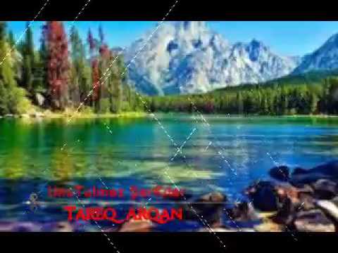 Unutulmaz Şarkılar 1 / Grup seksendort - Olurum hasretinle