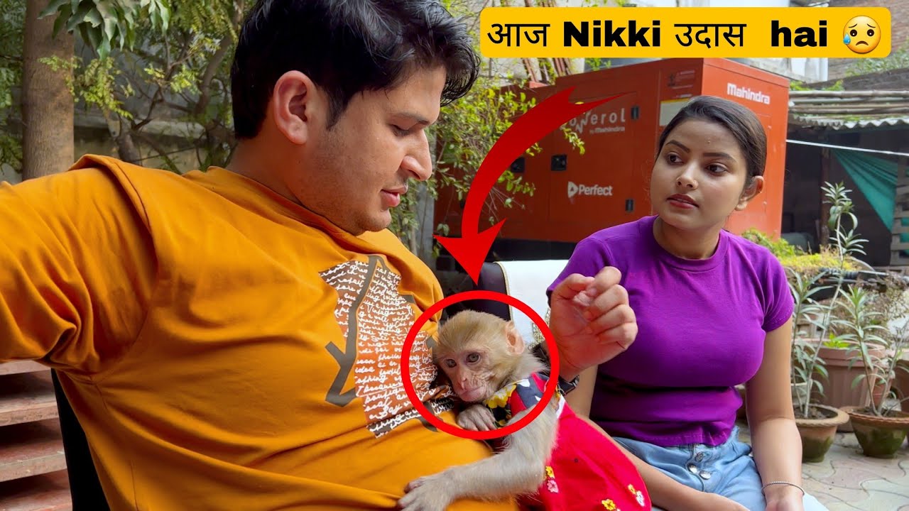 Nikki आज उदास है 😫// Sumit Cool Dubey - YouTube