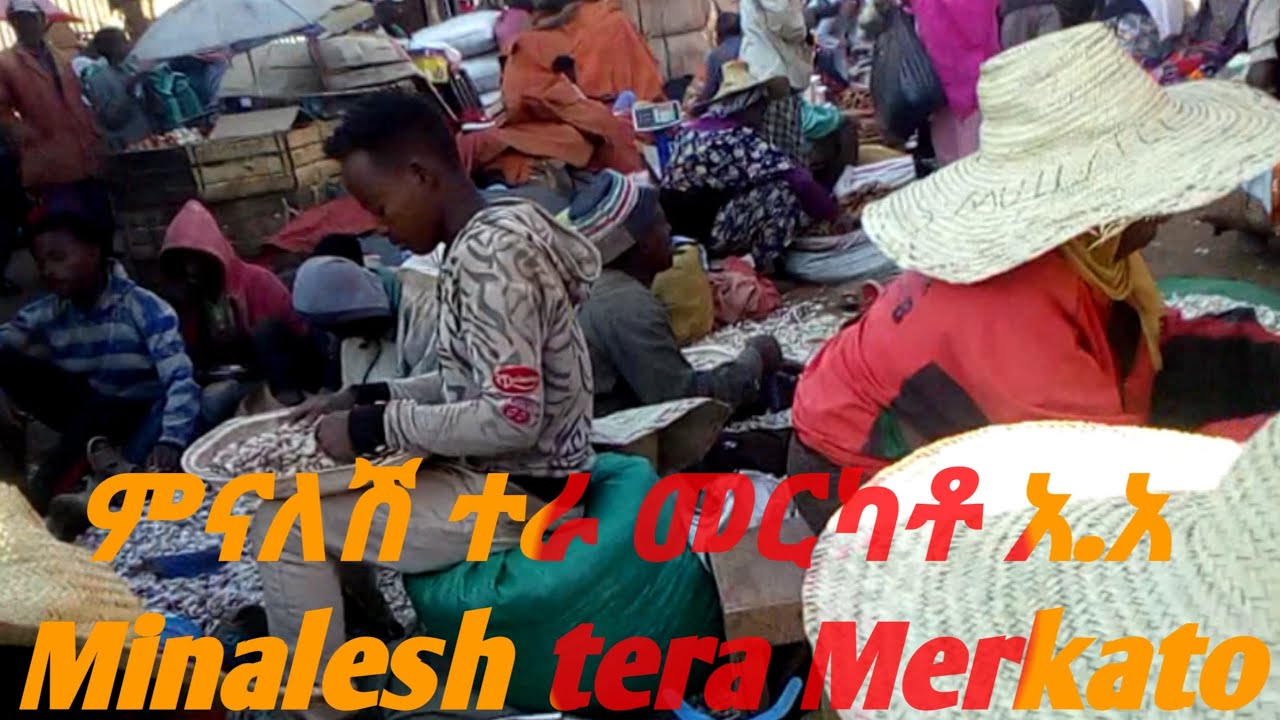 Ethiopia Addis Ababa Bigest Market Merkato Minaleshtera walking in ...