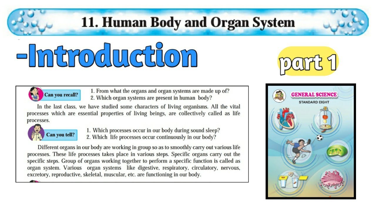 class 8 th| chapter 11|| Human body and organ system ||Maharashtra ...