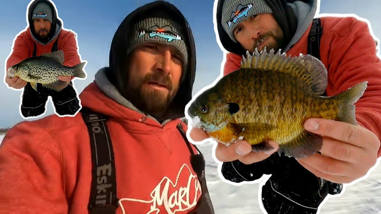 I Had to Go Off Road To Find These FISH!! - YouTube