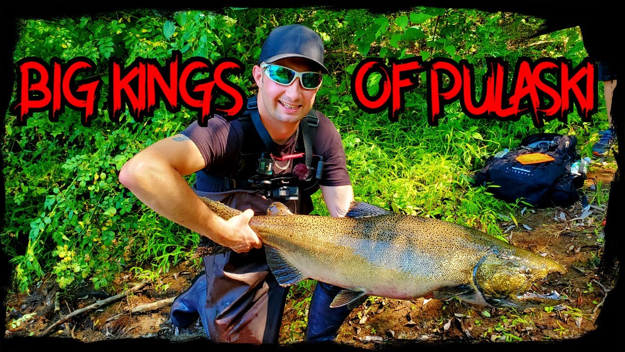 Salmon River Salmon Fishing Pulaski N.Y. | Big Kings - YouTube