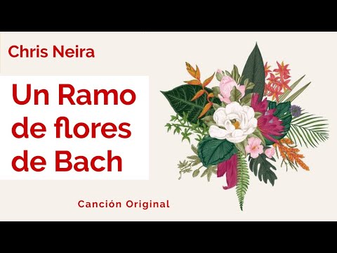 Un ramo de flores de Bach - Chris Neira - YouTube