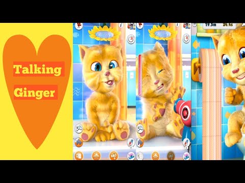 "Talking Ginger’s Wild Bath Adventures: Funny Reactions, Toothbrush Fun ...
