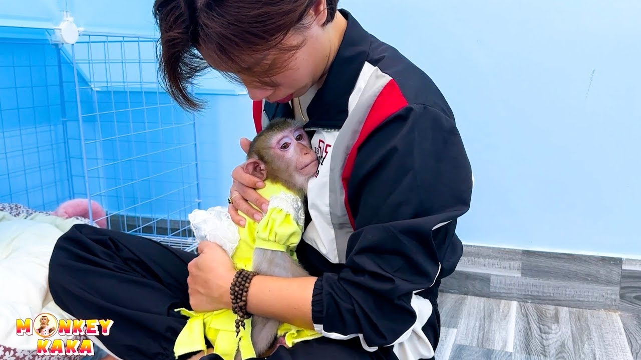Mom comforts Monkey Kaka when she sees Monkey Kaka sad - YouTube