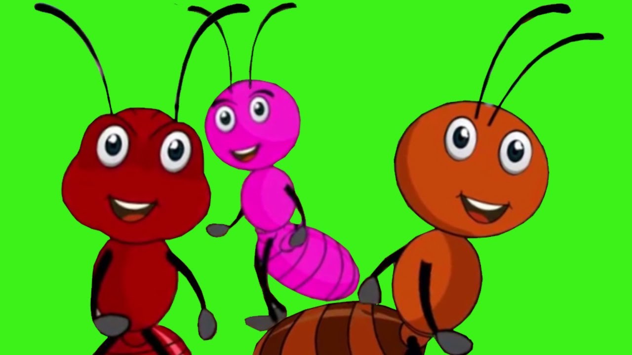 Finger Family Rhymes for Kids | Ants Finger Family | Nursery Rhymes For ...