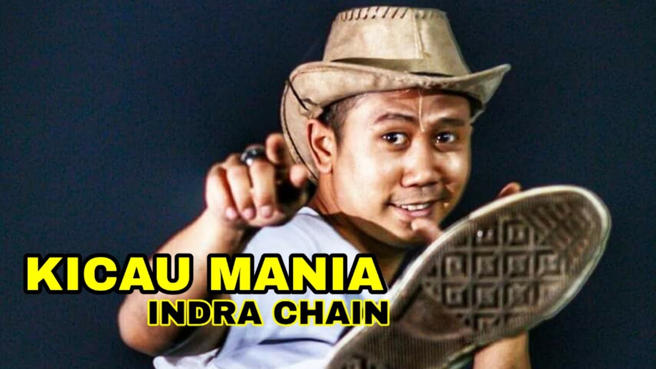 KICAU MANIA - INDRA CHAIN - YouTube