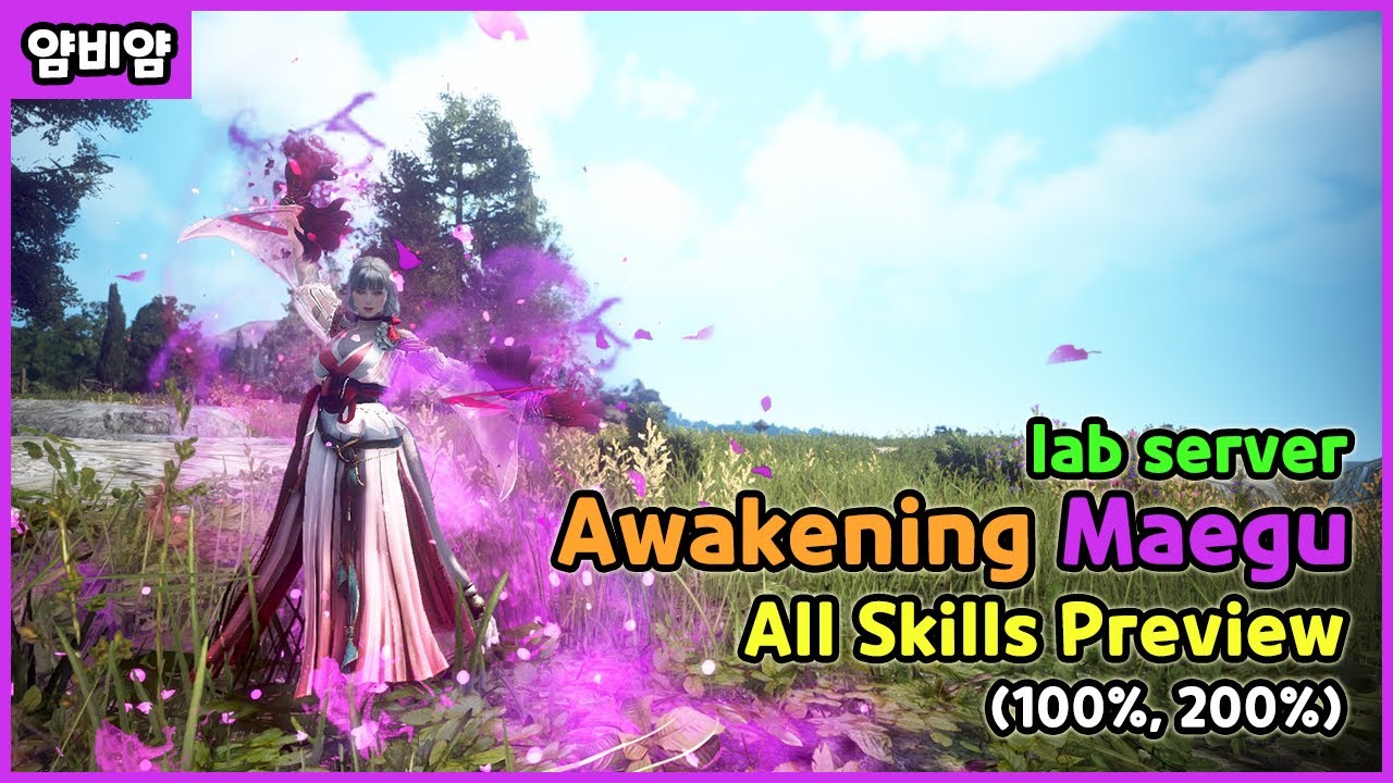 BDO) 각성매구 모든 스킬 영상 (흑정 100%, 200%) / Awakening Maegu All Skills (100% ...