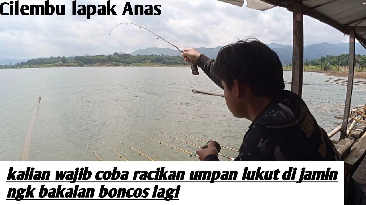 Mancing IKAN nila umpAn lukut campur TIMUN. KALIAN WAJIB COBA - YouTube