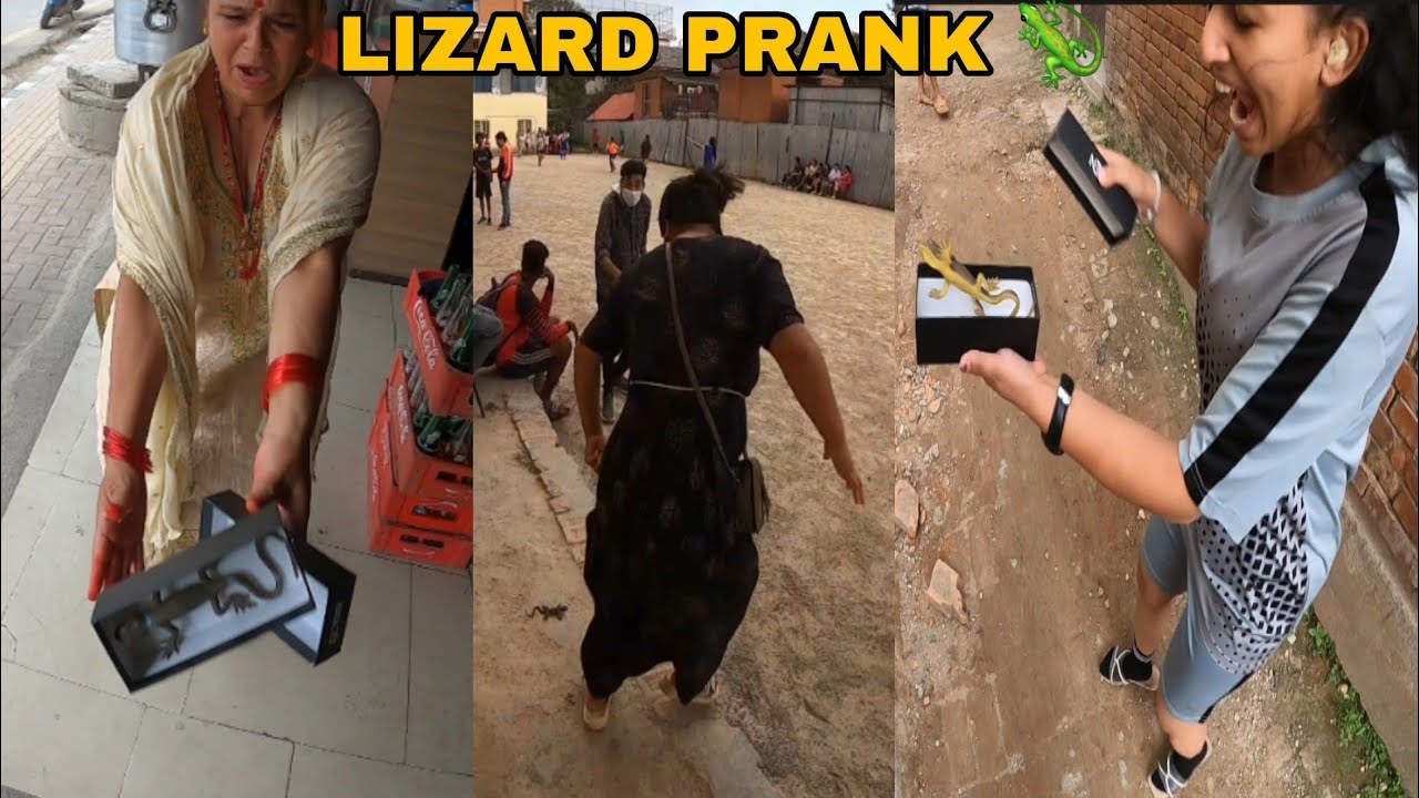 Lizard Thrills ,The Ultimate Prank with Friends! 🦎😅 - YouTube