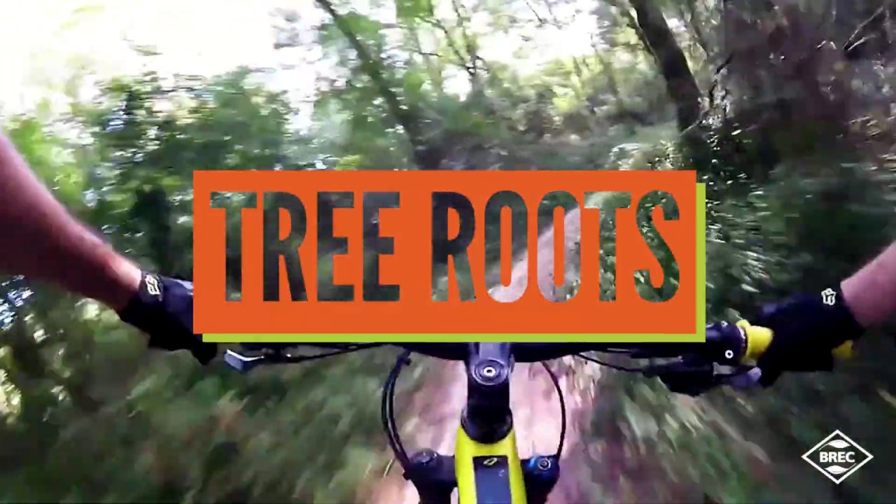REFRESH: Mountain Biking in EBR - Trail Safety at Comite River Park ...