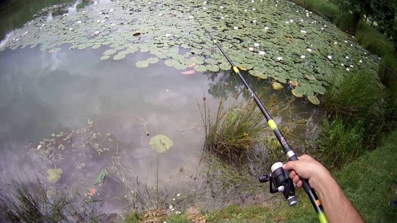 Pêche au calicoba - YouTube