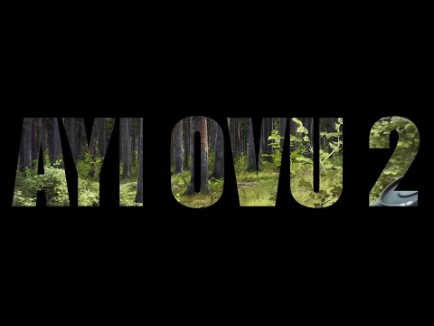 AYI OVU 2  WayOfTheHunter - 6 heyvan ovladım vurulub qaçanları saymasaq.