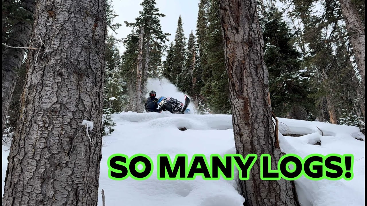 Utah's Ultimate Low-Snow Snowmobiling Adventure! Prepare for the ...