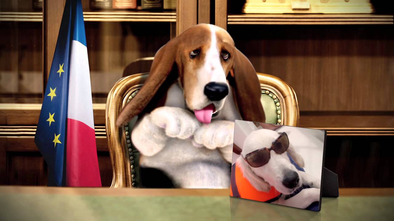 Z le chien à l'Élysée - Spot TV du 15/04 - YouTube