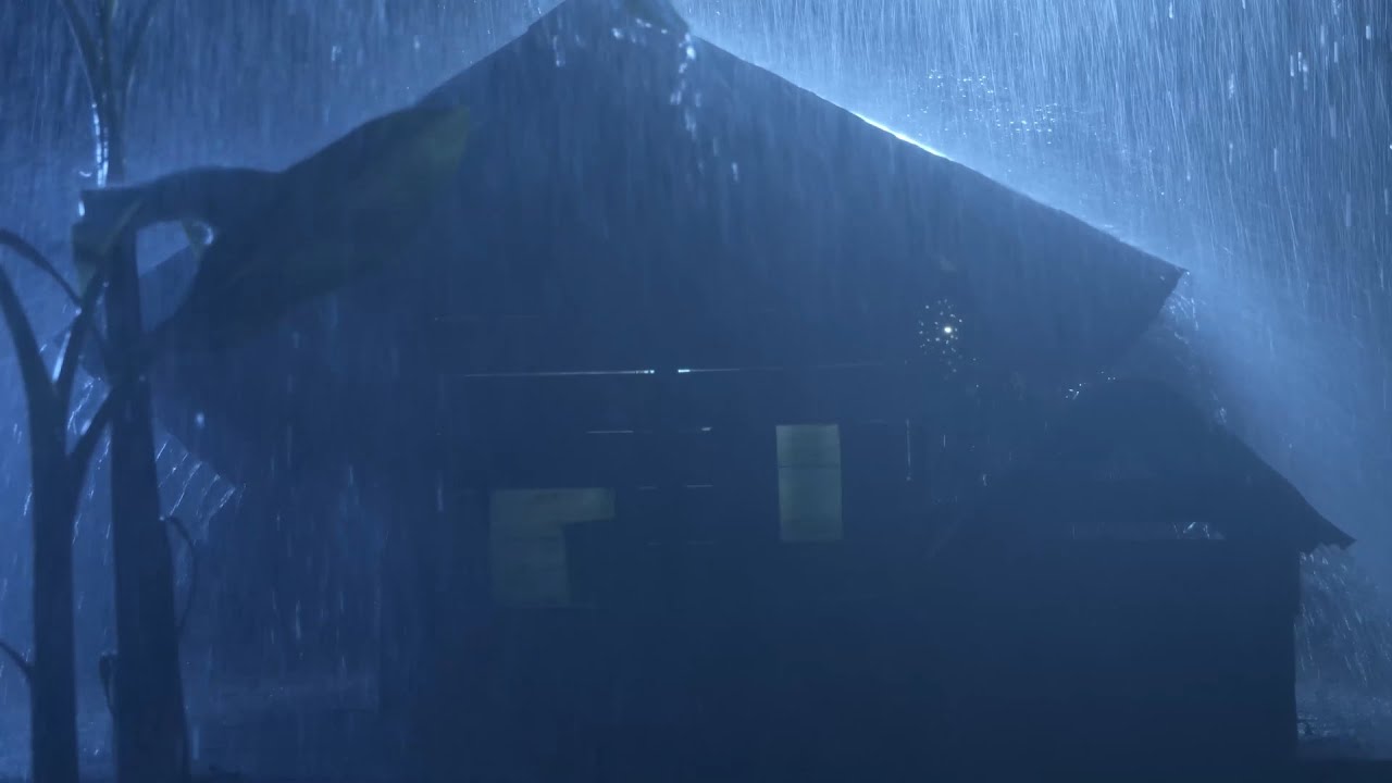 Quickly fall asleep with the sound of falling rain | Relaxing sounds ...