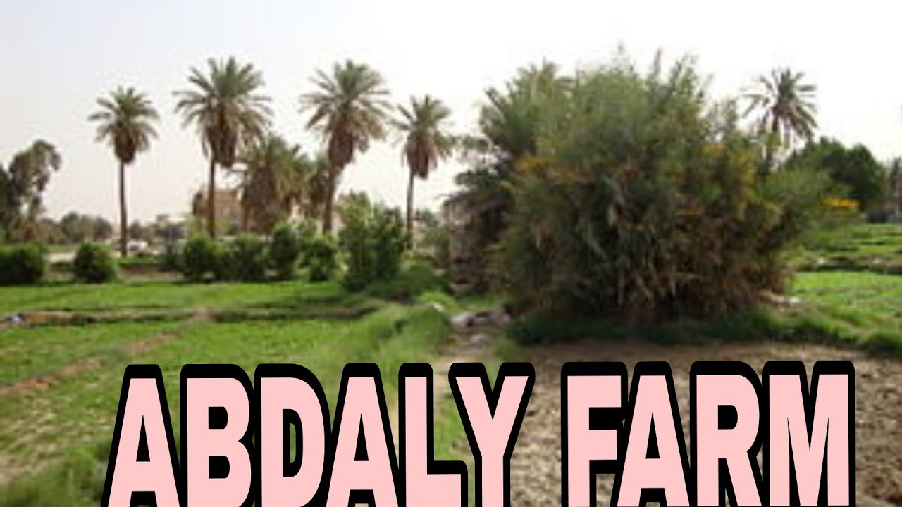 Abdally Farm||Kuwait - YouTube