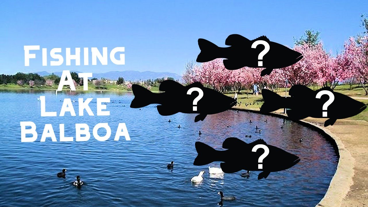 Helping subscribers catch their FIRST FISH! (Fishing at Lake Balboa ...